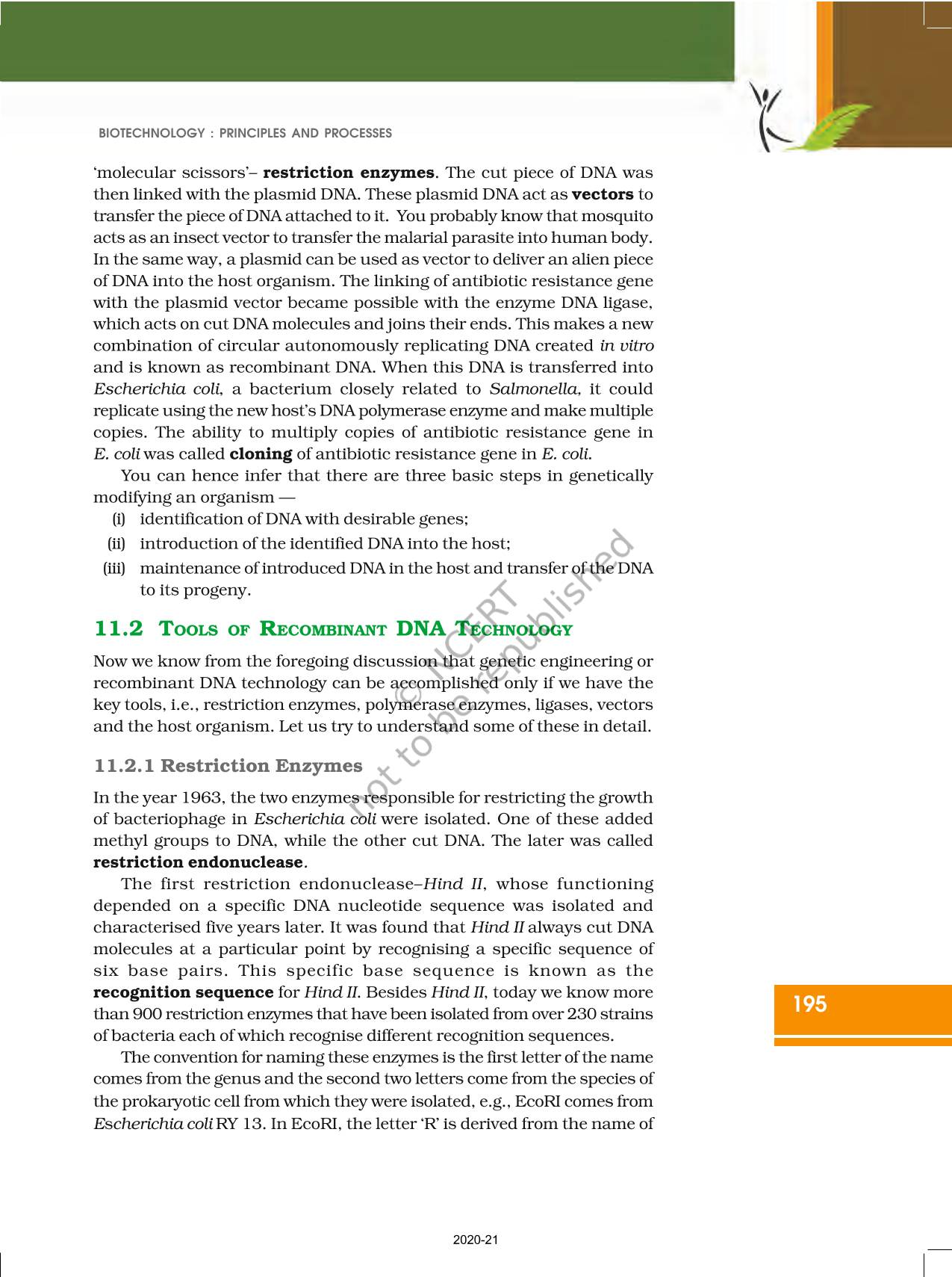 Biotechnology Principles And Processes - NCERT Book of Class 12 Biology